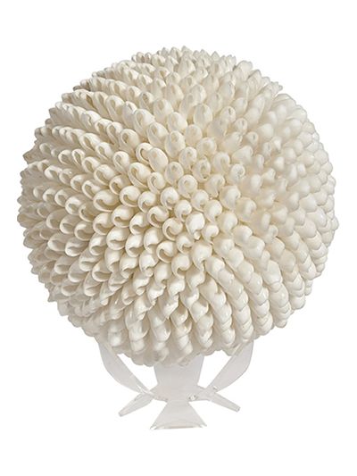 The Seashell Company