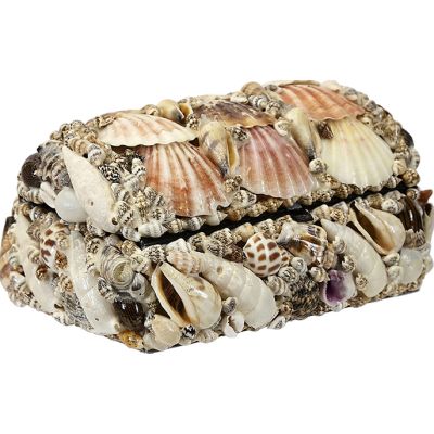 White Natural Seashell Treasure Box 10x6.5x5"