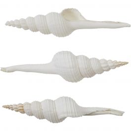 3 Distaff Spindle Shells 6-7" (Set of 3)
