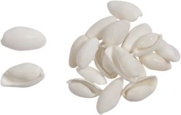 White Bubble Craft Shells Bag 1" Gallon (appx. 850 pc)