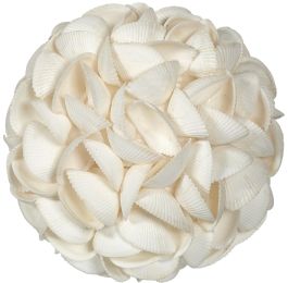 Ark Shell Orb 8"