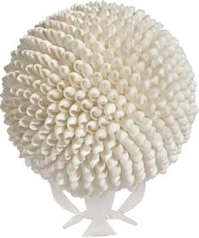 White Bubble Shell Decorative Ball Orb 6"