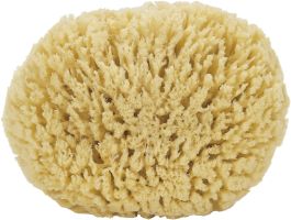 Caribbean Grass Cut Sponge 5-6"